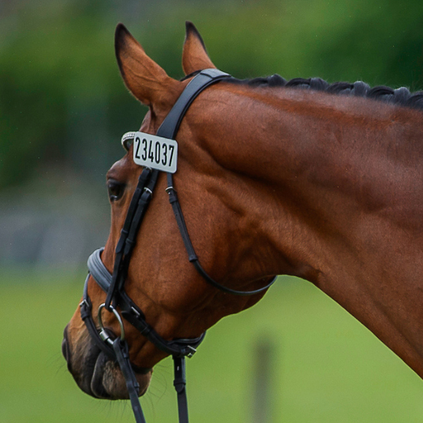 Dressage Bridle Numbers
