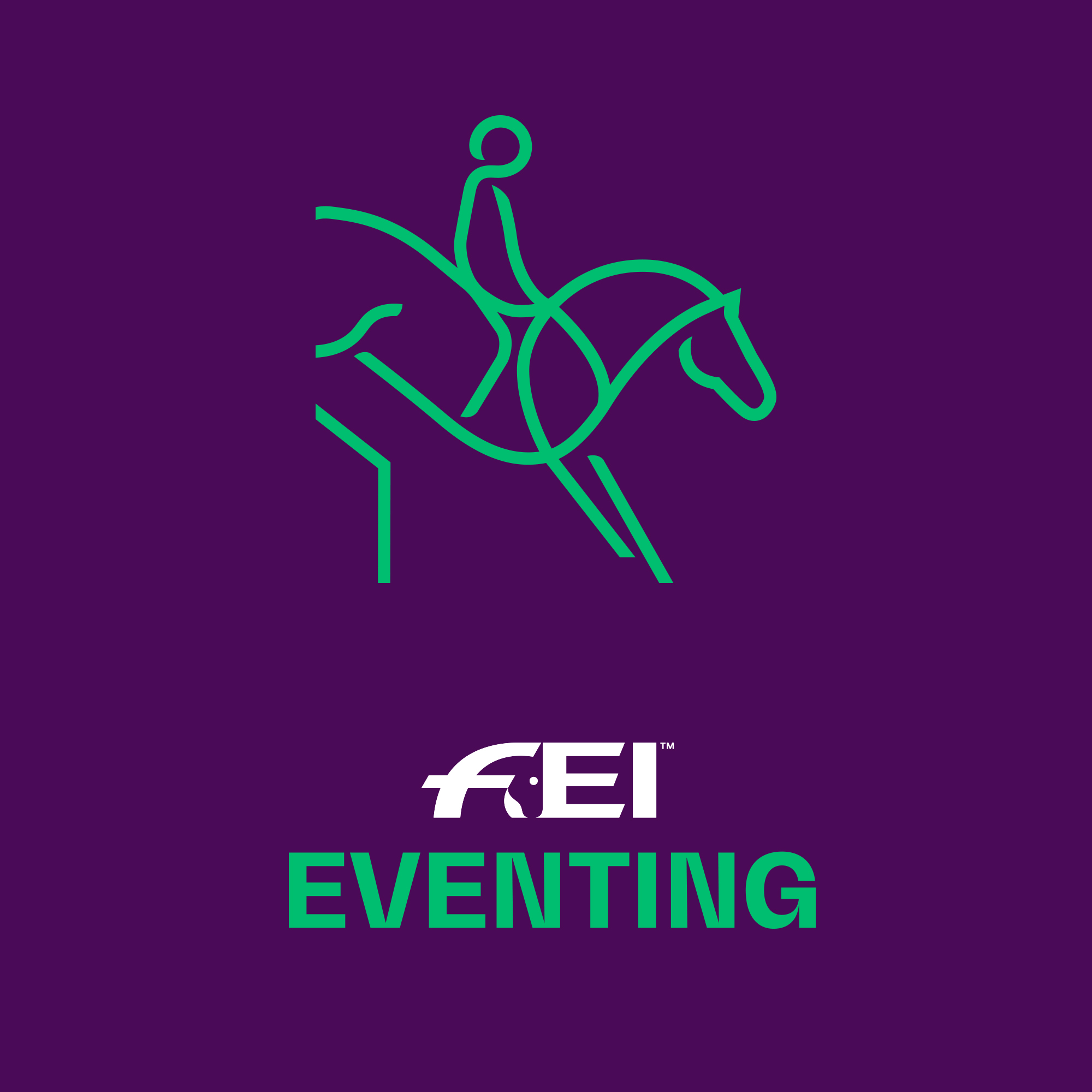 FEI Eventing Stewards Manual